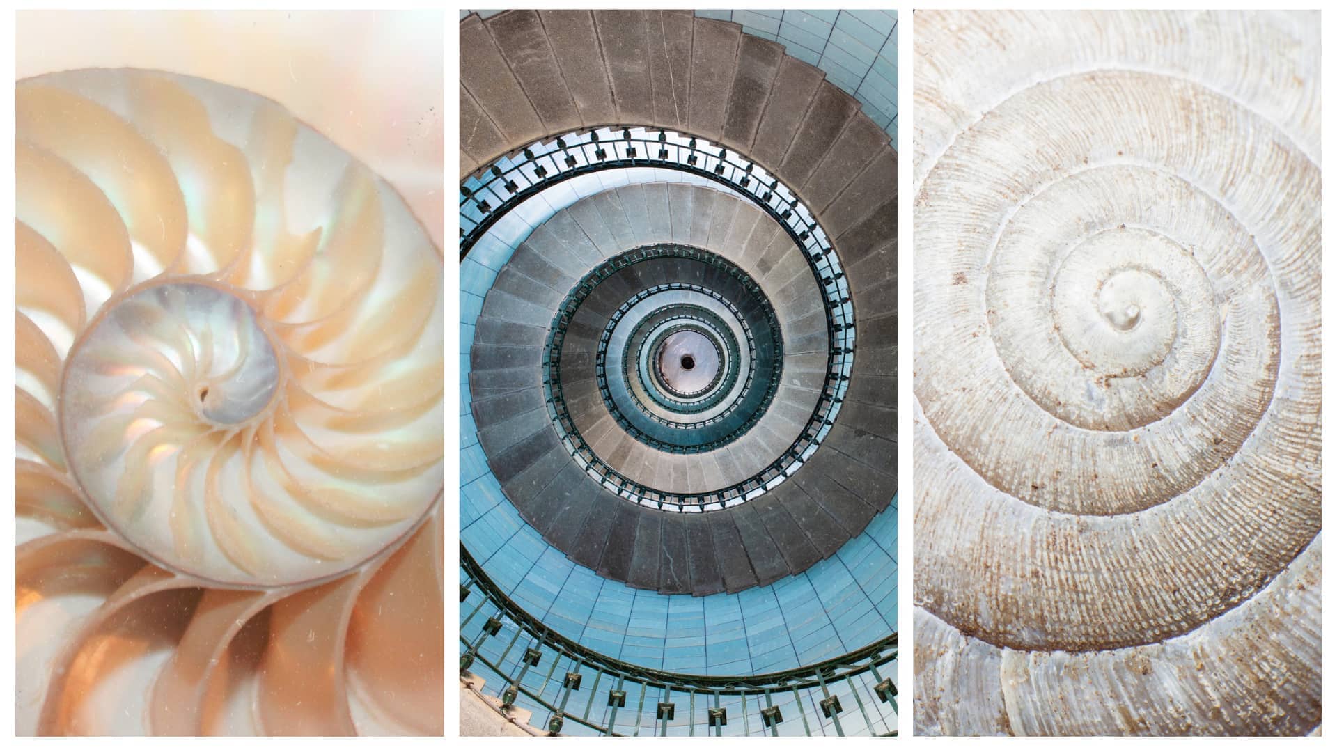 Examples of biomimicry-related solutions to F&B problems